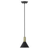 Mercer41 Conners 1 - Light Matte Black Single Pendant | Wayfair